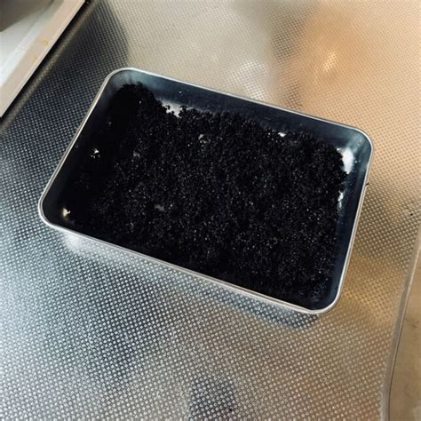 毎日出るもので、ちょっといいことを ミニマリストのほのぼの生活