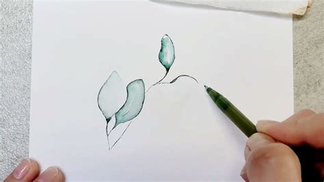 달숲공방 캘리수성펜수채화 한가지색으로 식물그리기 식물그리기쉬운그림 프러스펜 수채캘리 캘리그라피 캘리영상 캘리 취미 꽃 캘리수업 달숲 Youtube