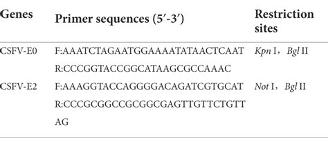 Frontiers Immunogenicity Of The Recombinant Adenovirus Fusion
