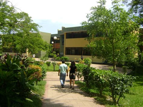 Becas Fmo Ues Ues Fmo