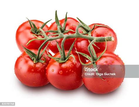 물으로 녹색 잎을 가진 신선한 빨간 토마토의 큰 지점 삭제 0명에 대한 스톡 사진 및 기타 이미지 0명 건강한 식생활