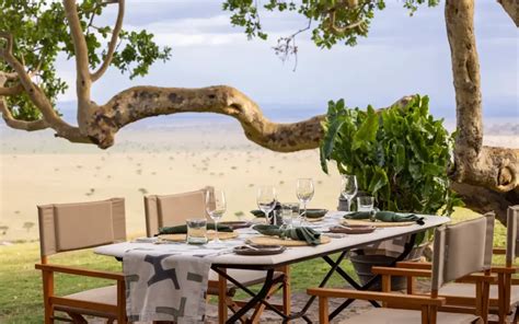 Singita Sasakwa Lodge New World Safaris
