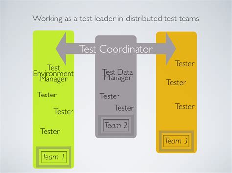 working as a test leader in distributed test teams reqtest