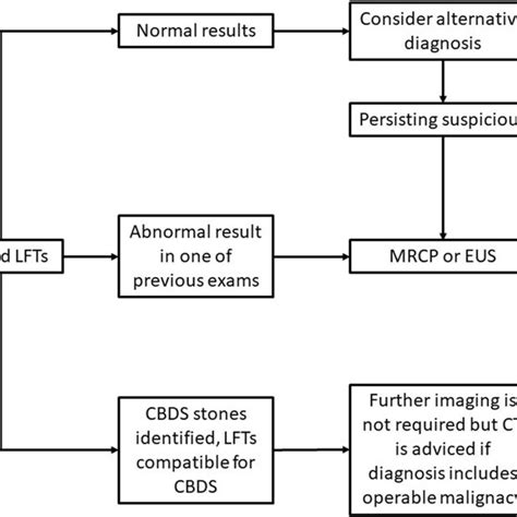 Depiction Of Endoscopic Ultrasound Directed Transgastric Ercp Edge To