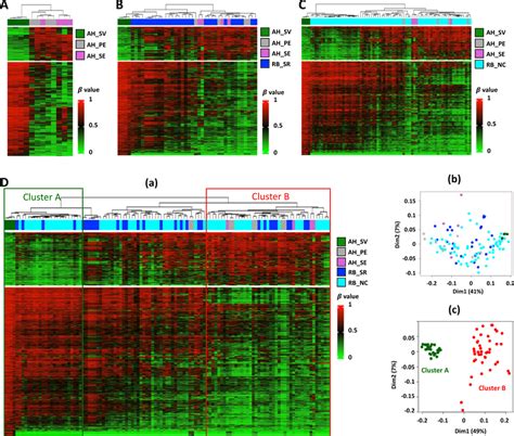 Identification Of Specific DNA Methylation Clusters From AH CfDNAs A