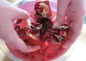 Cara Menanam Buah Delima BibitBunga Com