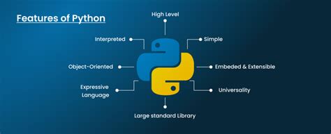 Nodejs Vs Python Solving The Great Backend Dilemma Solguruz