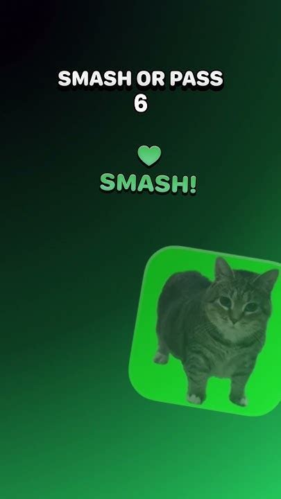 კატები ️ ️ Youtube