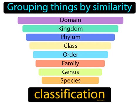 Classification Definition And Image Radience
