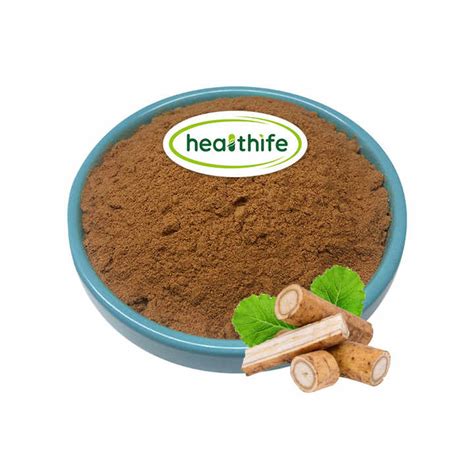 Healthife Arctium Lappa Root Extract Powder Burdock Root Extract