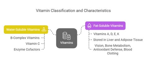 Essential Vitamins For Health And Wellness Bio Chemhub