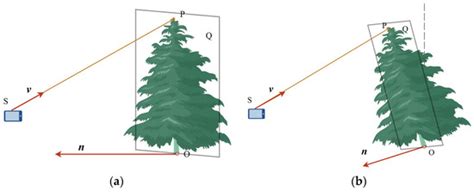Individual Tree Detection Itd And Its Applications