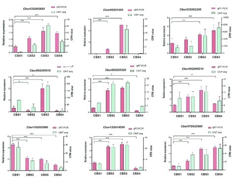 qrt pcr validation of the expression patterns of nine selected genes