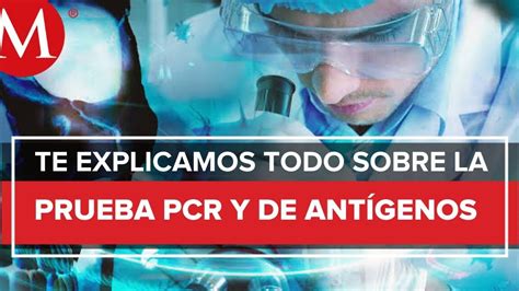 Qué Es Una Prueba Pcr Y CÓmo Funciona Guía Clara