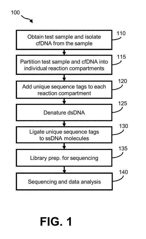 Methods For Single Stranded Nucleic Acid Library Preparation Eureka Patsnap