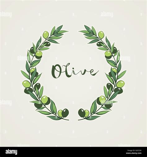 Vector Frame With Olive Branch Hand Drawn Circle Frame Illustration