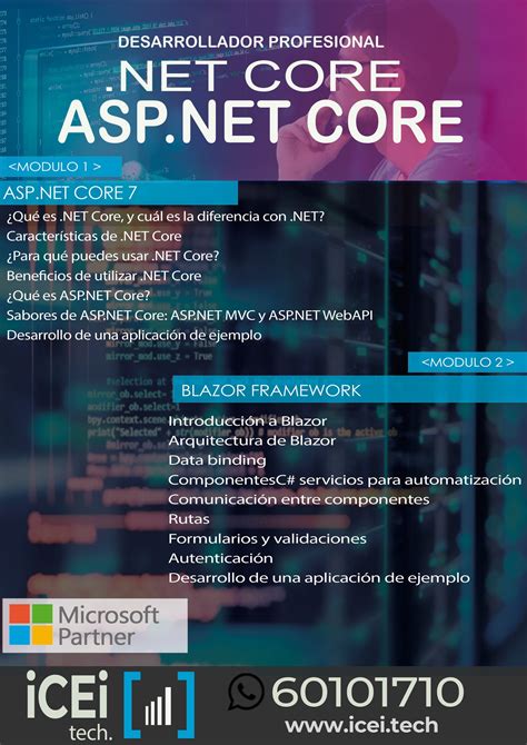 Icei Tech Srl 💻 Desarrollador Profesional Net Core Asp