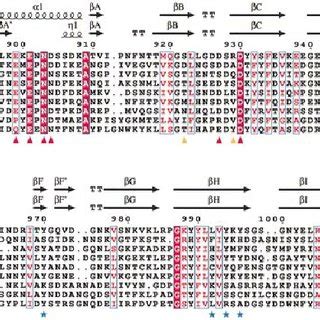 Multiple Sequence Alignment Of Homologous Proteins Using Multalin