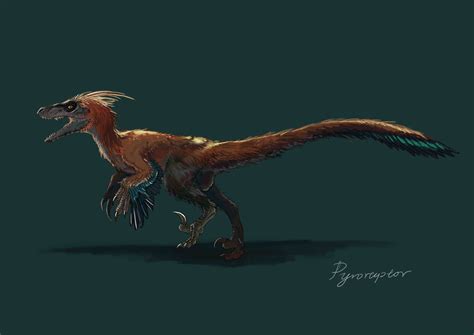 Pyroraptor By Mirroraptor On Deviantart