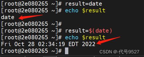 【linux】shell脚本中获取命令运行的结果shell 获取命令执行结果 Csdn博客