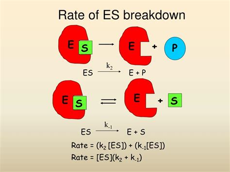 ppt chapter 6 3 enzyme kinetics powerpoint presentation free