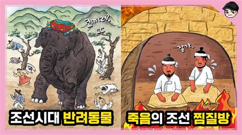 조선시대에는 코끼리를 키웠다고 신기한 조선시대 문화 Top5 2탄 [빠퀴2tv] Youtube