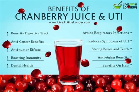 Cranberry Juice Benefits In Uti Health Benefits