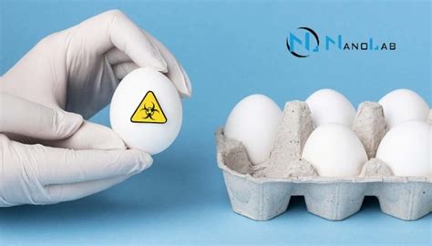 Biyosidal Kozmetik Gıda Ambalaj Çevre Su İsg Tüketici Nanolab