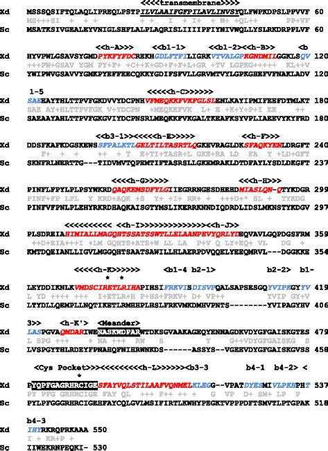 Sequence Alignment Between X Dendrorhous Cyp51 And S Cerevisiae Erg11 Download Scientific