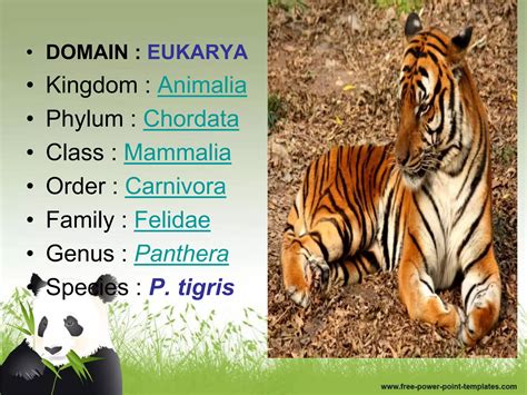 Classification Of Organisms Ppt
