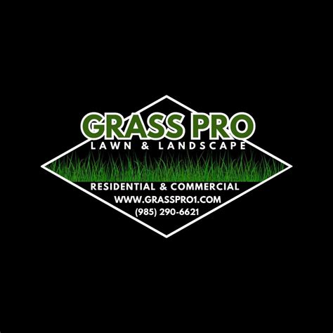 Professional Lawn Services In Your Area