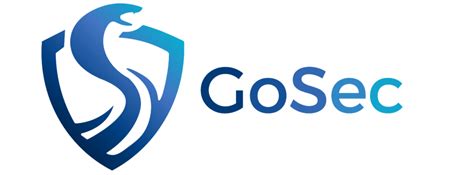 GoSec Expertise en cybersécurité Audit Conseil