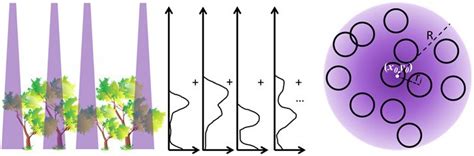 Remote Sensing Free Full Text End To End Simulation For A Forest