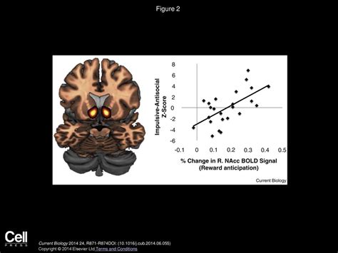 Psychopathy Current Biology Ppt Download