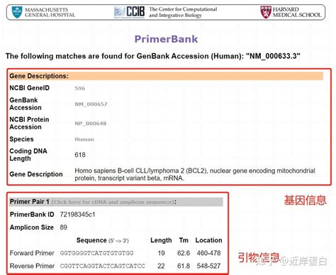qPCR技术小讲堂第三期引物设计 知乎