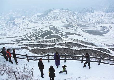 Yunhe Rice Terraces Images Yunhe Rice Terraces Yunhe Terraced Rice