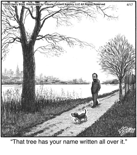 That Tree Has Your…