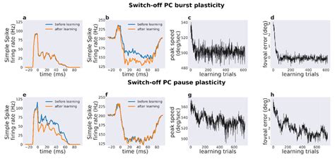 Effect Of Selectively Switching Off Of Dual Plasticity Process In Each