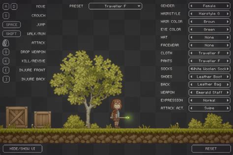 Customizable Pixel Character