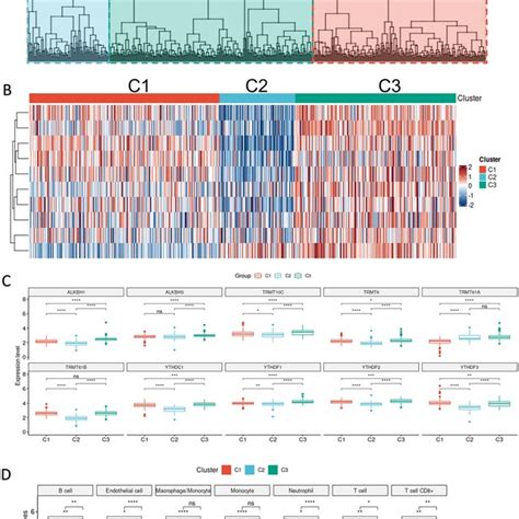 M1A Modification Patterns A Dendrogram Of Hierarchical Clustering Of