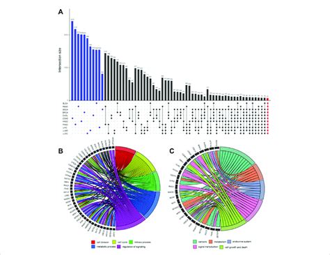 Upset Plot For Differential Genes Intersection Among 11 Cancers And
