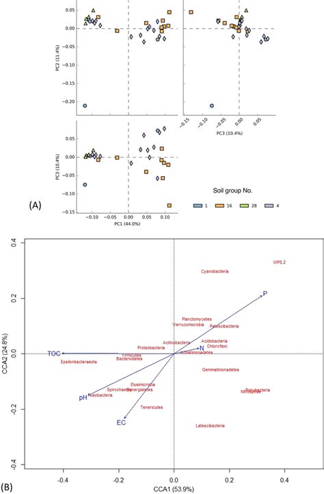Principal Component Analysis Pca Of Bacterial Phyla From Different