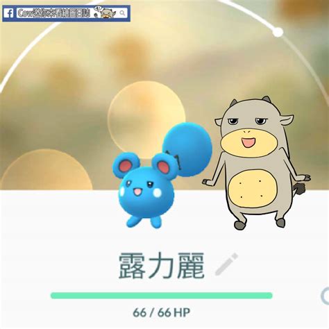 Cow邀你來看繪圖日誌 哞孵到一隻表情微妙的 Cow邀你來看繪圖日誌 寶可夢 神奇寶貝 ポケモン