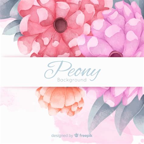 Hermoso fondo de flores peonía en estilo de acuarela Vector Gratis
