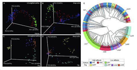 Jackknifed Beta Diversity Analysis Ac Unweighted Unifrac And