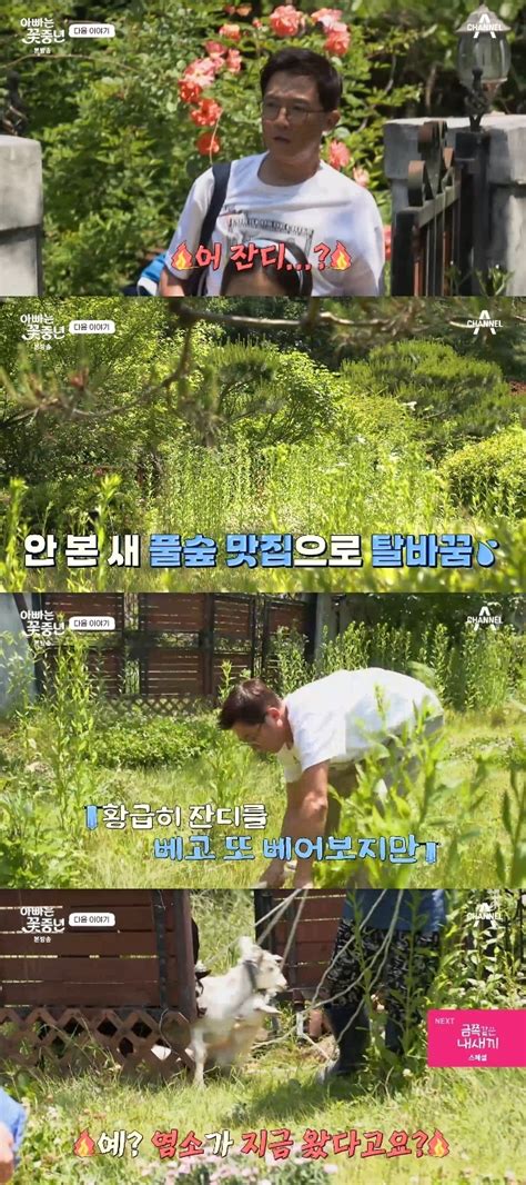 안재욱 돌아가신 父 양평집 상태에 충격 “숲이 됐네”아빠는 꽃중년 결정적장면 손에 잡히는 뉴스 눈에 보이는 뉴스 뉴스엔