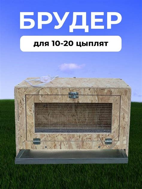 Купить разборный брудер для цыплят — купить по низкой цене на Яндекс