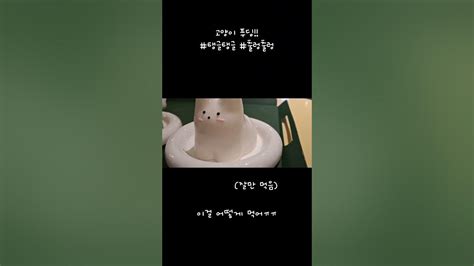 푸딩고양이 푸냥이🍮 출렁~출렁~ 탱글탱글 고양이 푸딩 Youtube