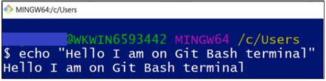 如何在Windows上使用Git Bash techsyncer