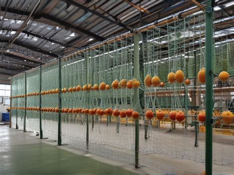 Product Orchard Netting Types Applications Sourcing And More